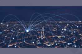 Flutter Web: Pros, Cons, and Considerations for Your Next Project