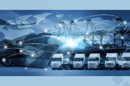 Flutter Web: Pros, Cons, and Considerations for Your Next Project