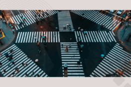 Flutter Web: Pros, Cons, and Considerations for Your Next Project