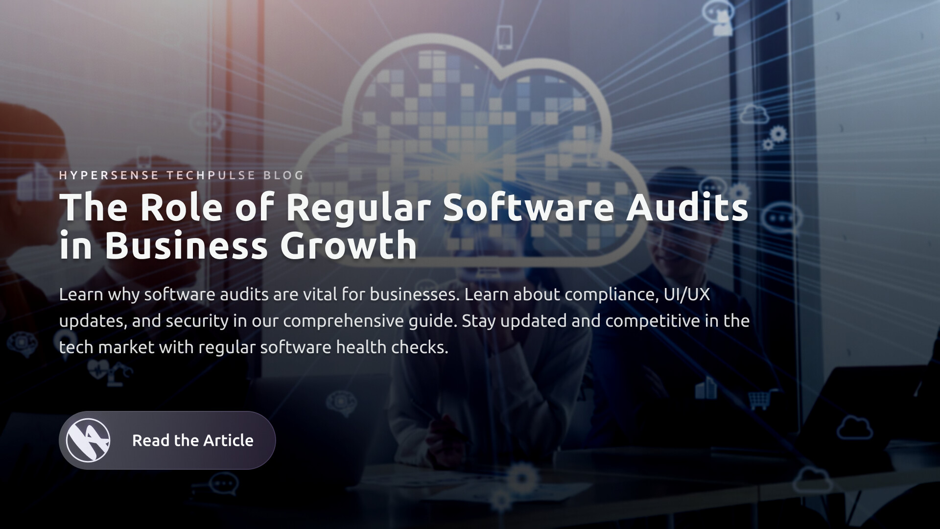 Maximizing Business Efficiency with Regular Software Audits